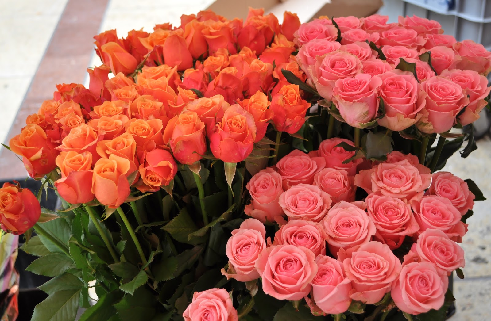 Our House in Provence, the Most Beautiful Region of France: Every Day ...