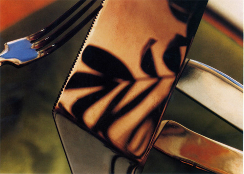 Out of this world: Jan Groover - Postmodern Photographer