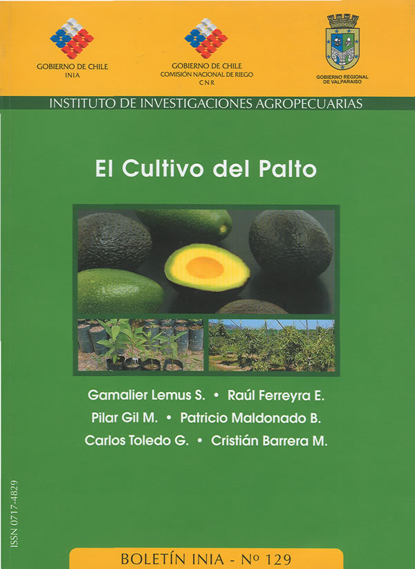 El cultivo del palto - ASESORÍA GLOBAL GAP Y CERTIFICACIONES AGRICOLAS