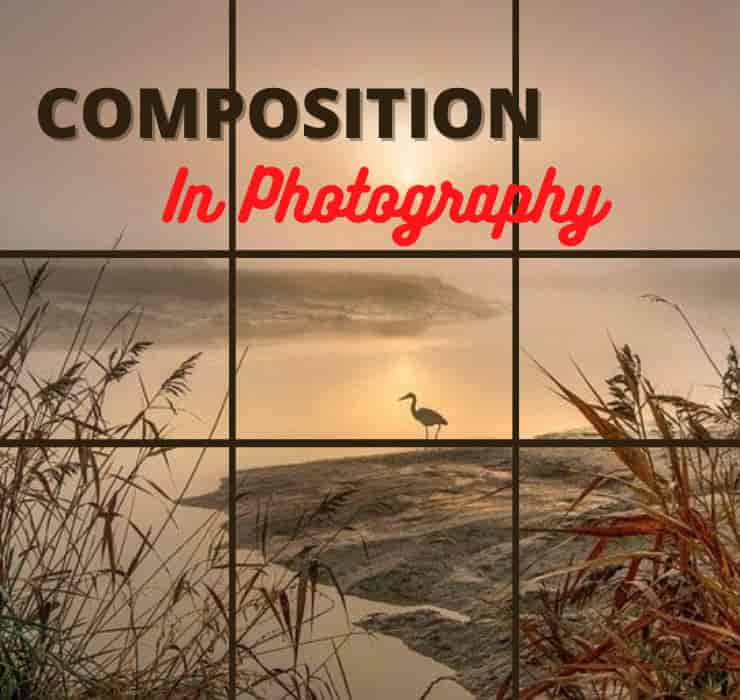 Understanding Composition in Photography | How to Take Better Photos ...