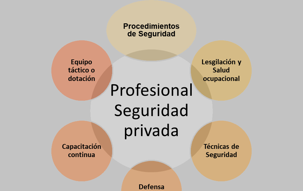 La Garita del Guardia de Seguridad : PROCEDIMIENTOS DE SEGURIDAD ...