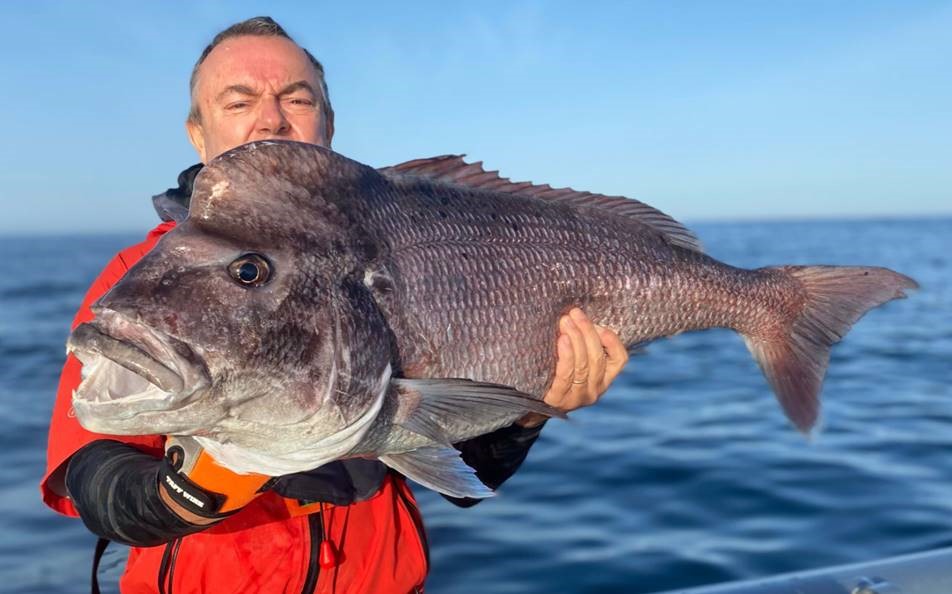 Pargo capatão de 11 kgs com linha PE 0.6
