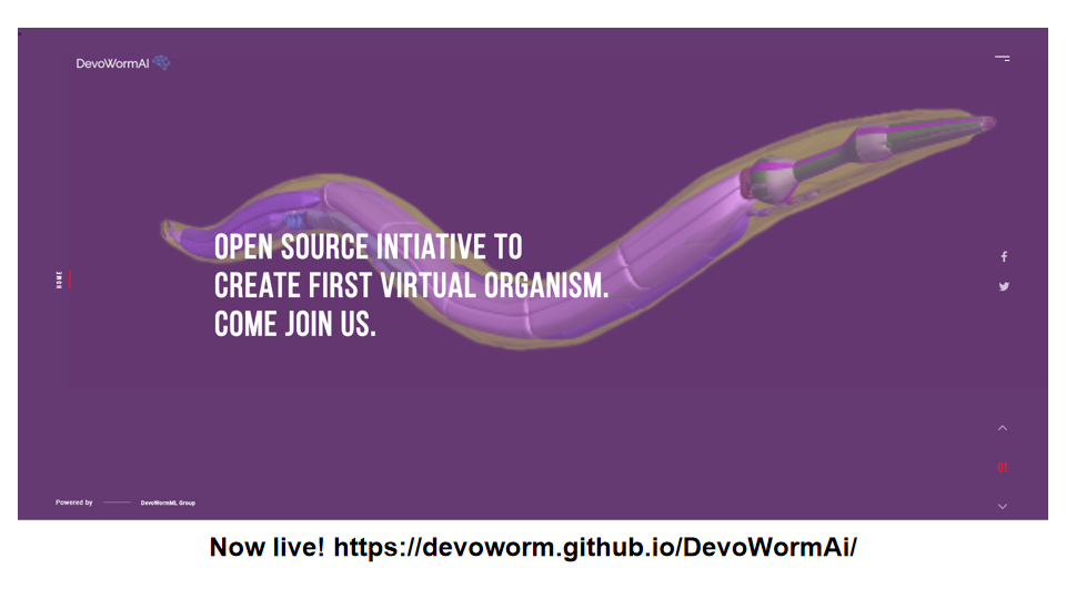 Synthetic Daisies: OpenWorm Annual Meeting -- DevoWorm Slides