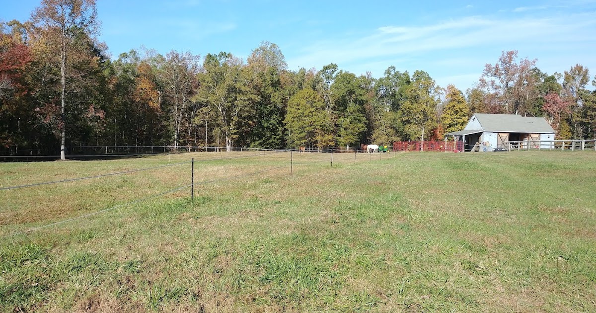 NC Horse Blog: Horse Pasture Planning & Design