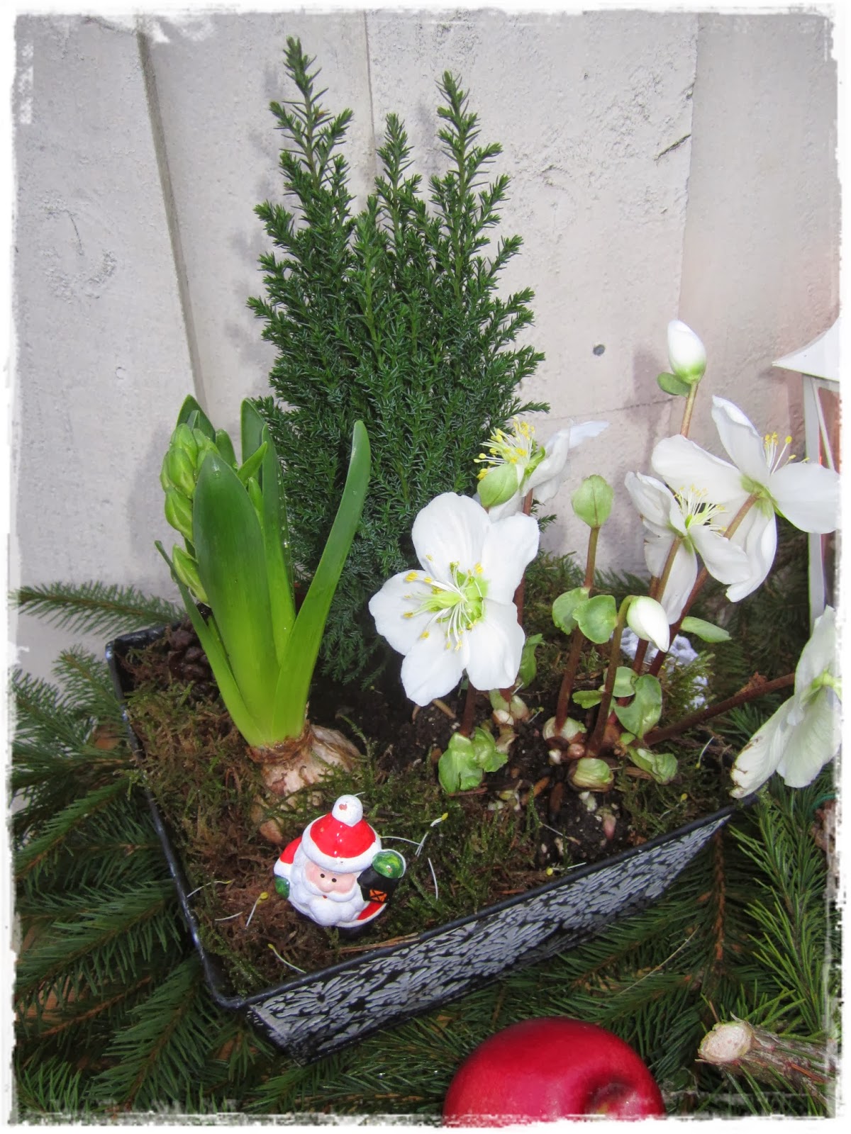 EnelidInterior : Julpynt ute och ett litet tips.