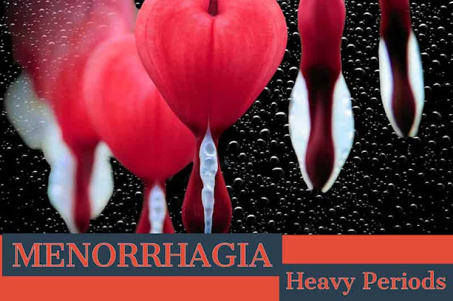 13 Interesting Facts About Menstrual Cycles/Periods