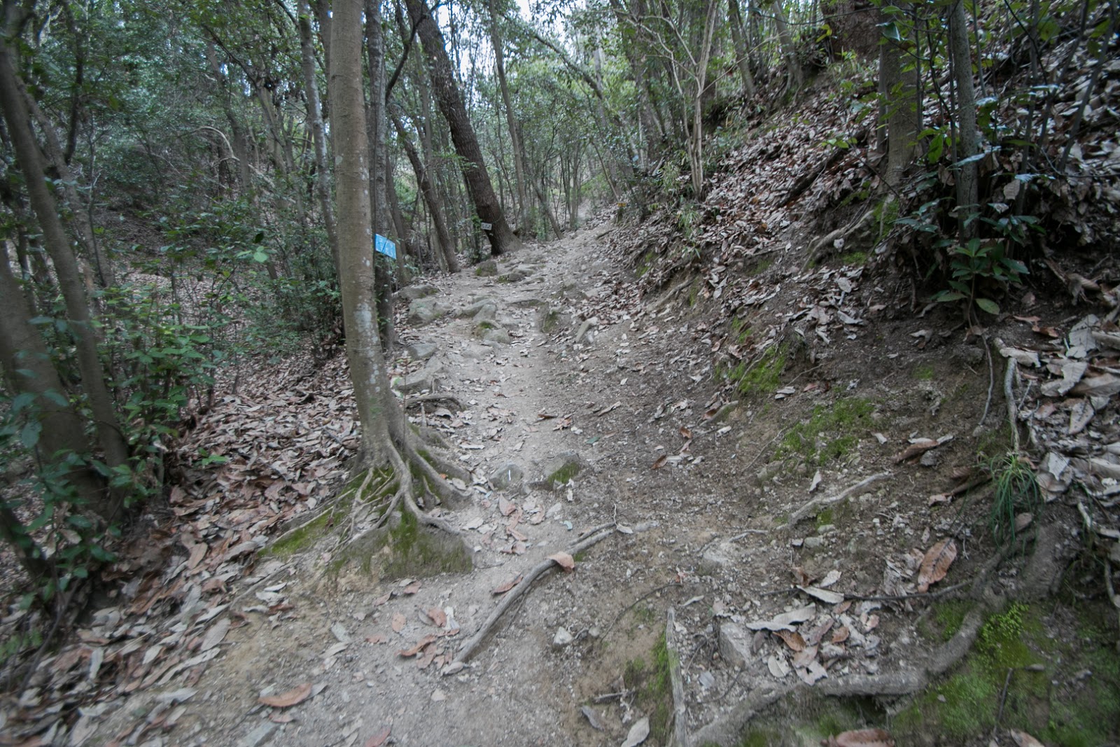 Niitakayama Castle -Intellectual pillar of Mouri clan (2)- | Japan ...