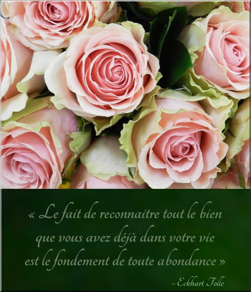 Les Panneaux Roses Citation Sur Labondance
