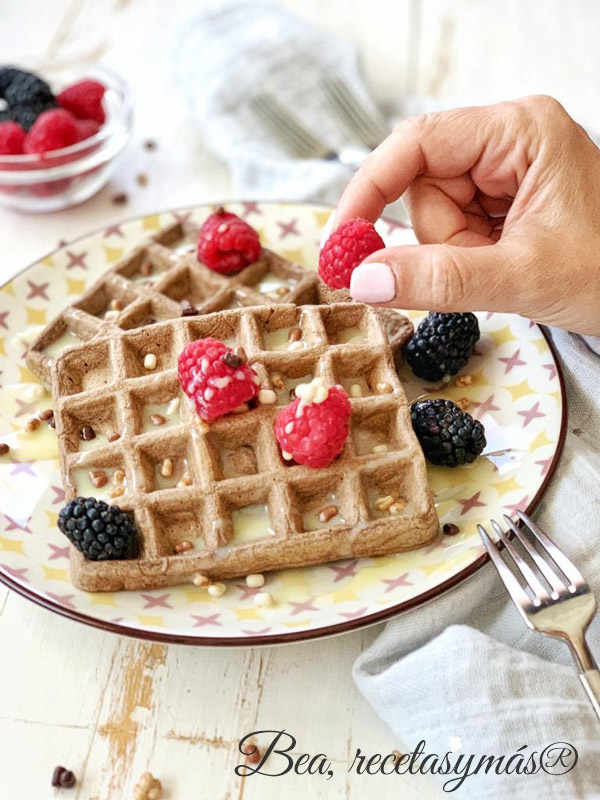 Gofres de avena - Recetas de cocina fáciles y sencillas | Bea, recetas ...