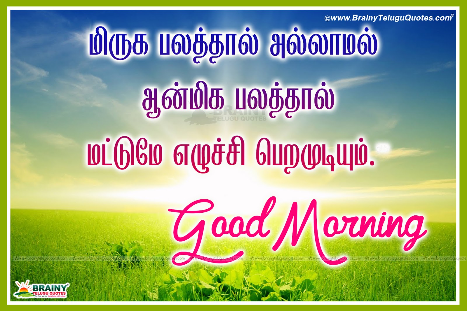 Tamil Kaalai Vanakkam Kavithaigal Animaltree