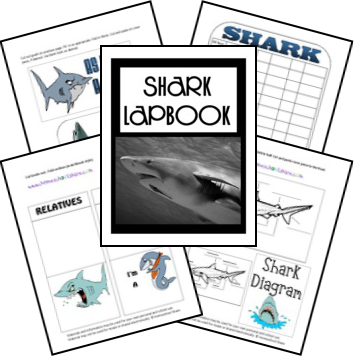 Some of the Best Things in Life are Mistakes: Shark Week Fun for the Kiddos