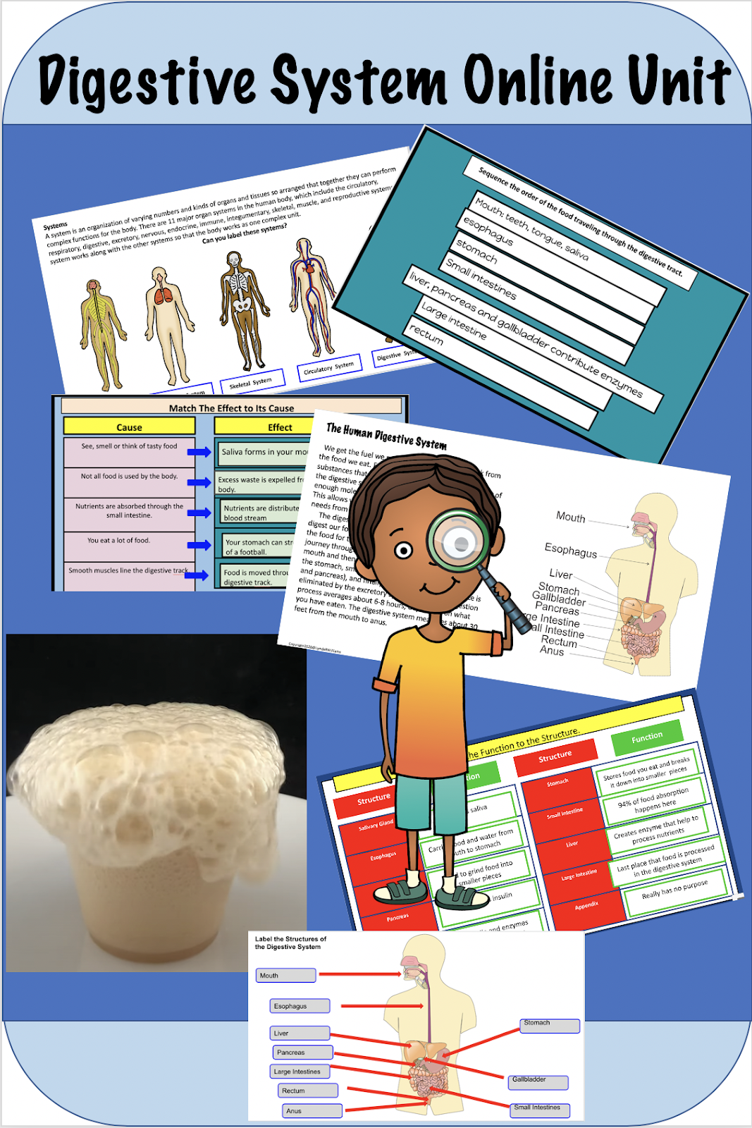 Digestive System Online Unit for Middle School - Teaching Science with ...