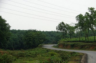 TOURIST SPOT OF BANGLADESH: Srimongol Sylhet.