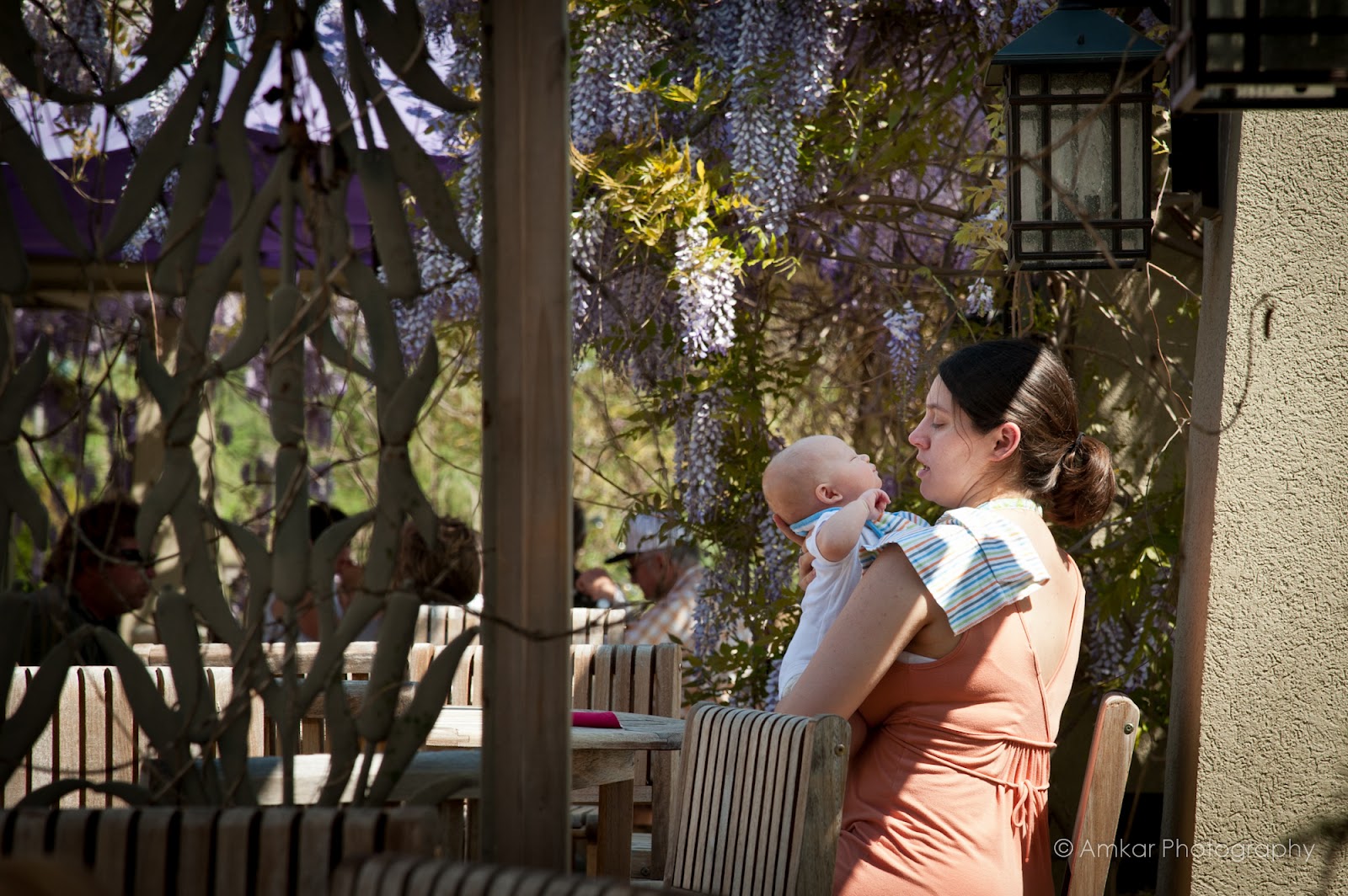 Running from the Law: Mac's Family Baby Shower