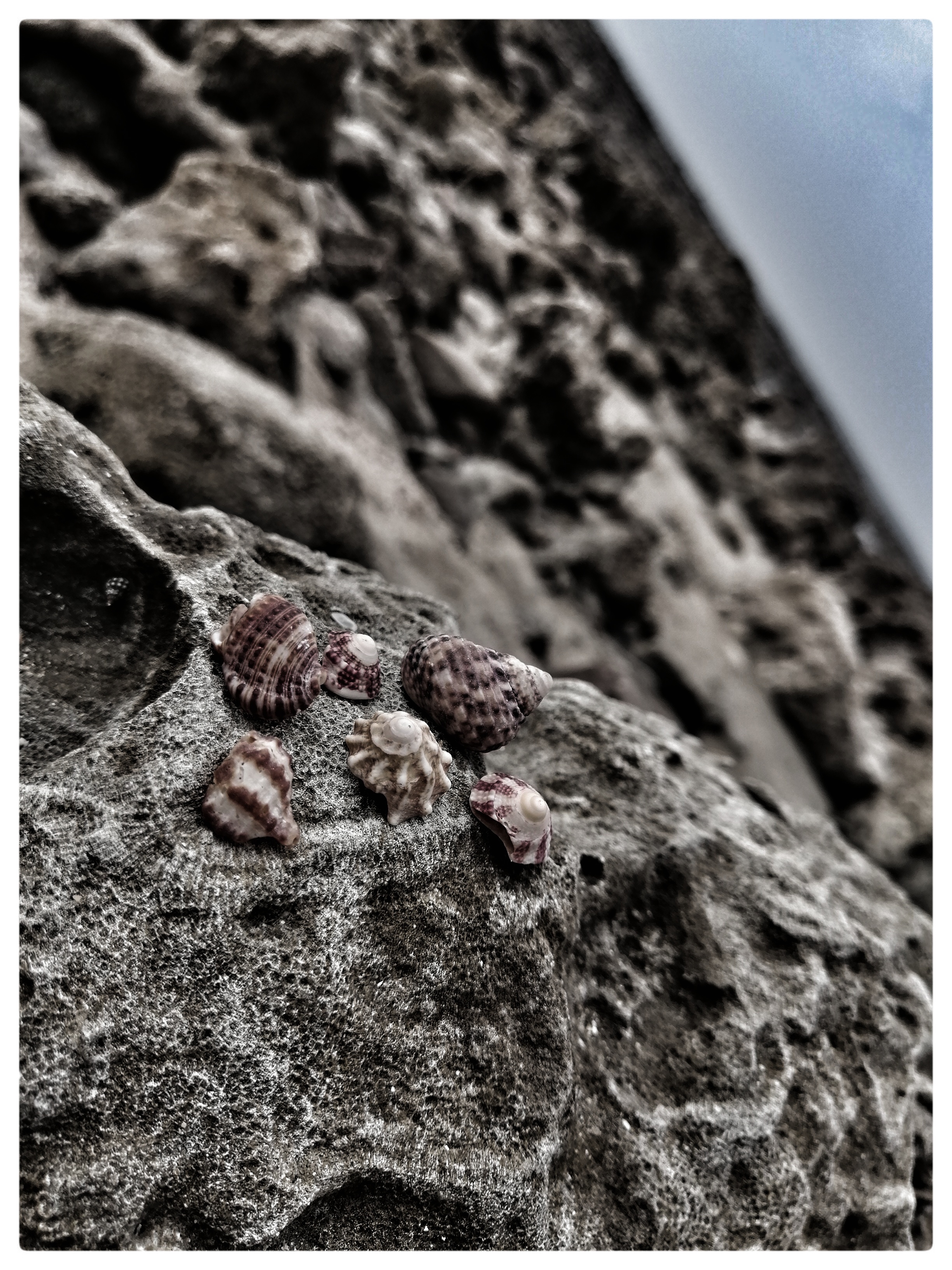 দেয়াল (Deyal): ছবিঘর - দেবযানী দে রাত্রি