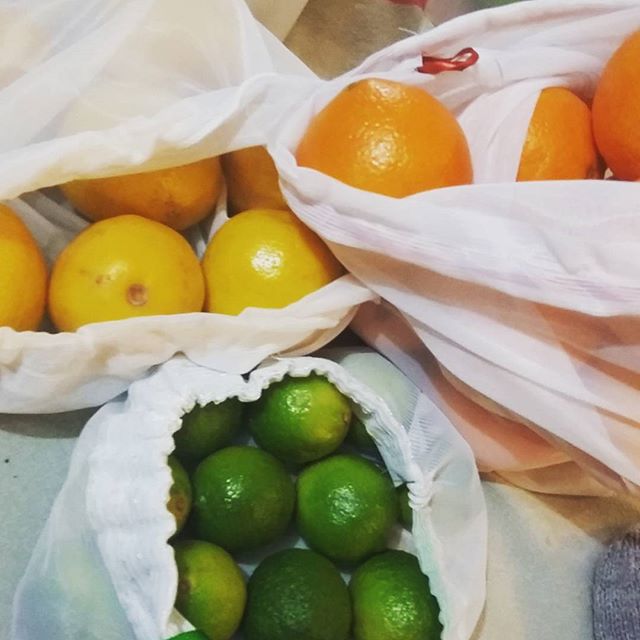 FOOD PRESERVING: HOW TO MAKE A RE-USABLE PRODUCE BAG