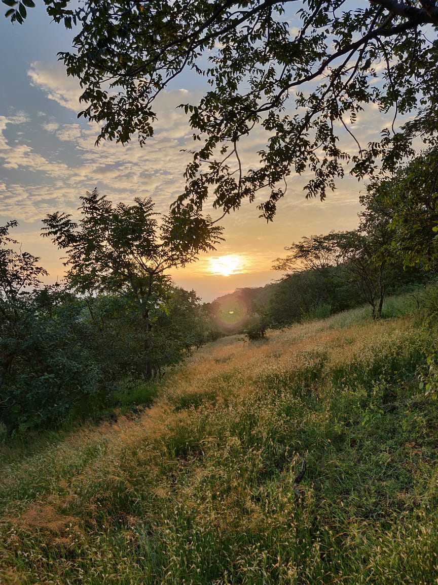 WEEKEND GETAWAY: Drive your way to Ananthagiri Hills this weekend and ...