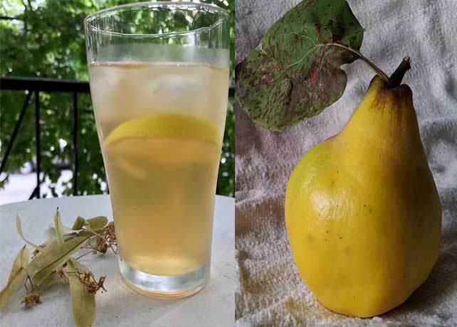 Quince Linden Tea