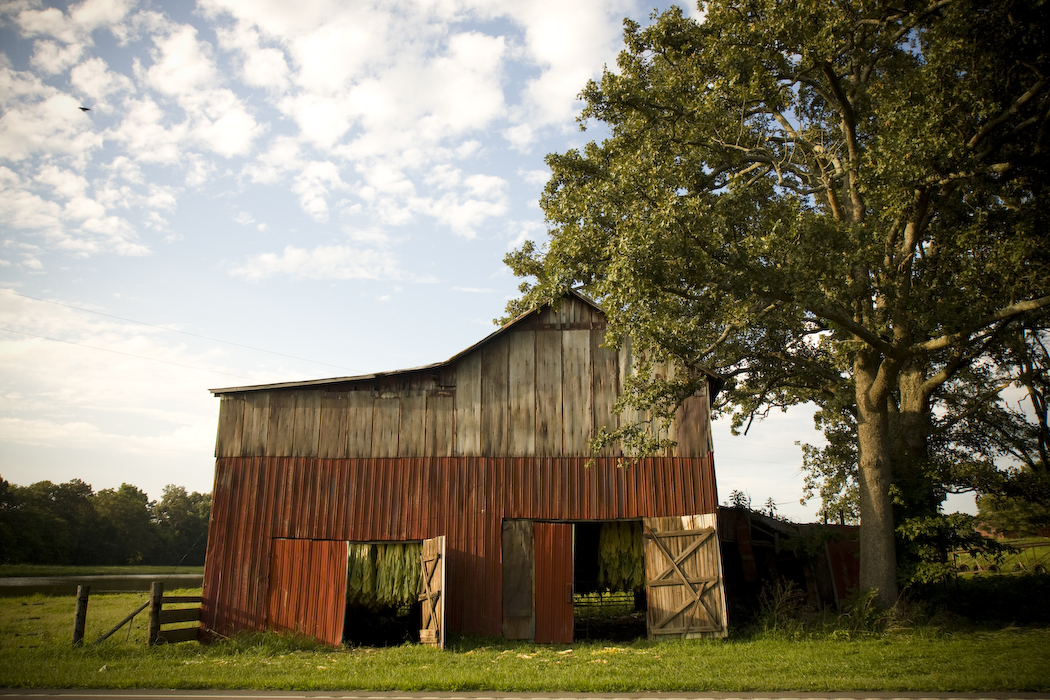 Exploring Lands: The Beeches, Springfield, TN
