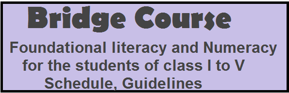 Bridge Course - Foundational literacy and Numeracy for the students of ...