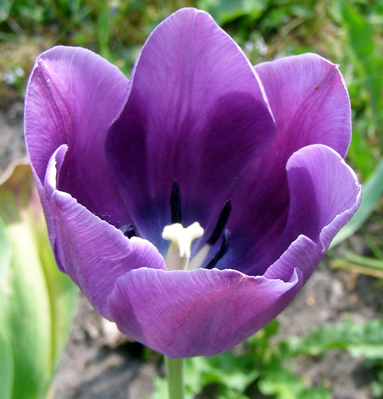 FUTULAND: Mai lõpp, veel nädalake paradiisis.