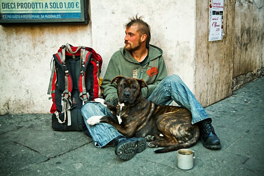 White Wolf : Dog's Love: Beautiful series of pictures showing homeless ...