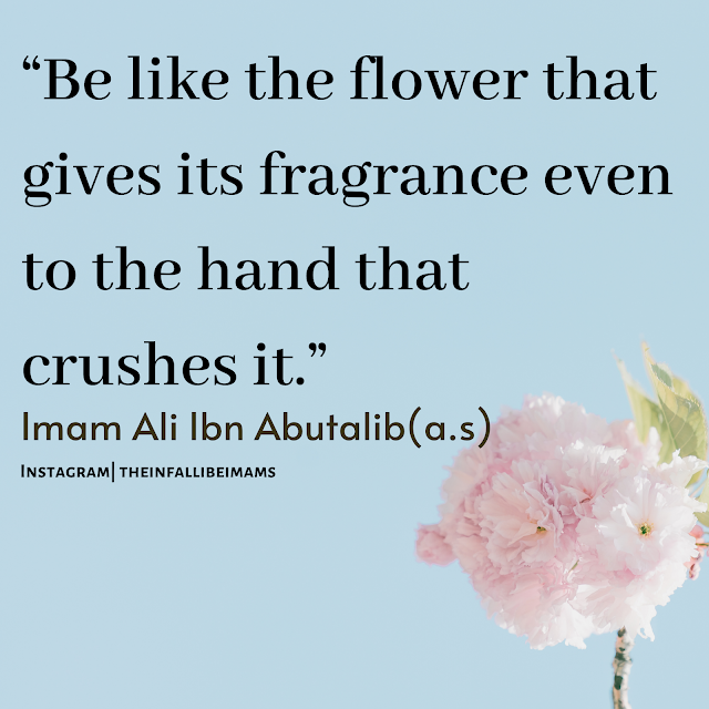 Sayings and quotes of Imam Ali