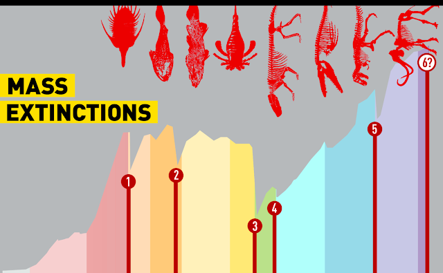 Earth s Major Mass Extinction Events earth-s-major-mass-extinction-events
