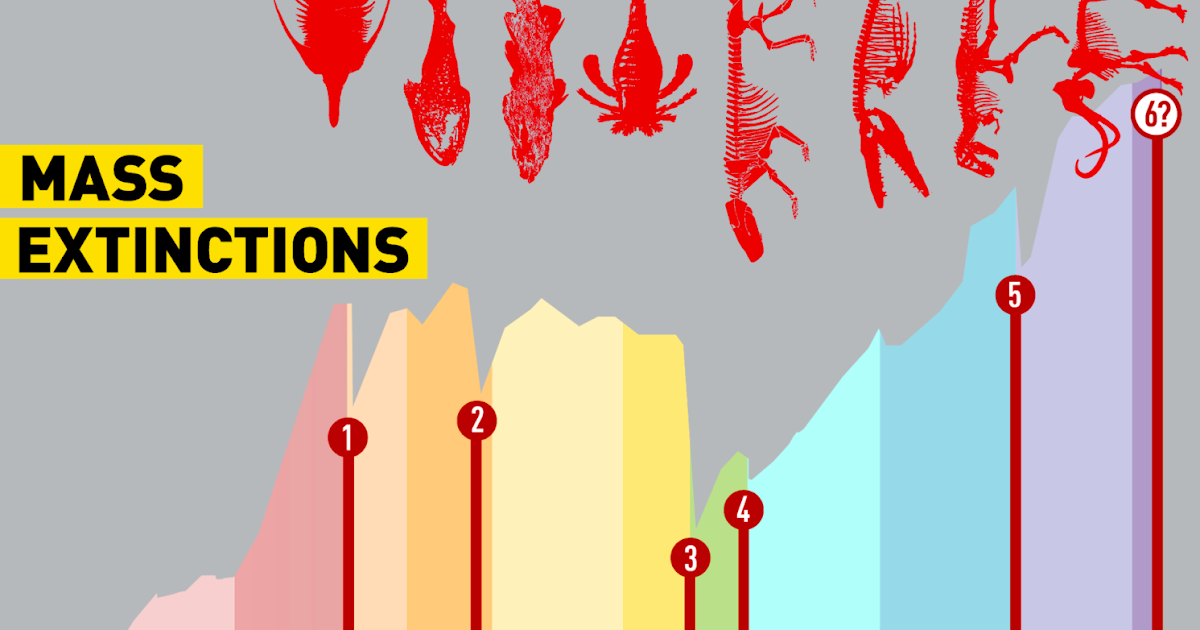 Earth's Major 'Mass Extinction' Events