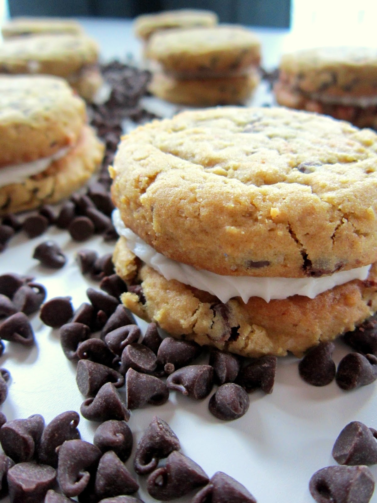 The Haphazard Baker: Mini Chocolate Chip Double Doozies
