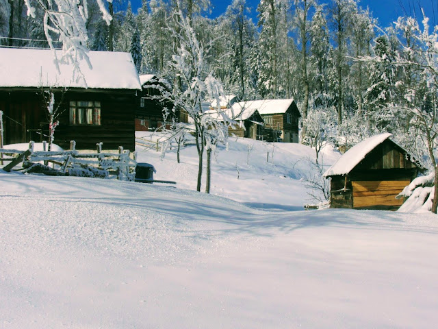 One day trip to Turnalık & Çiğdem & Dikmen plateaus in Turkey