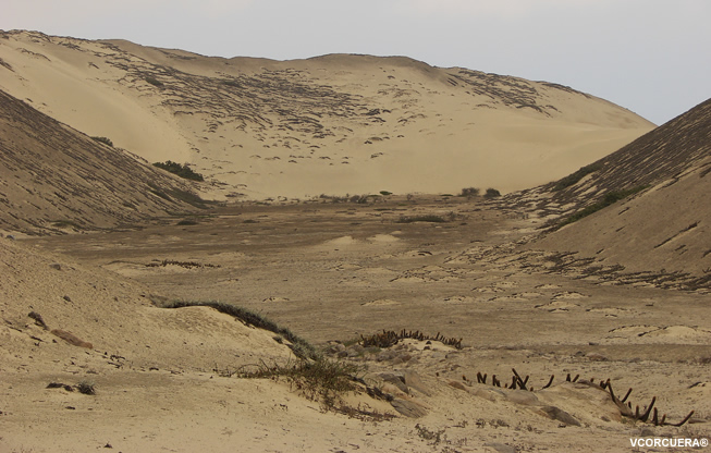 Ruta Moche: LAS LOMAS COSTERAS DEL CERRO CAMPANA