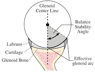 Shoulder Arthritis/Joint Replacement Rotator cuff tears: The normal ...