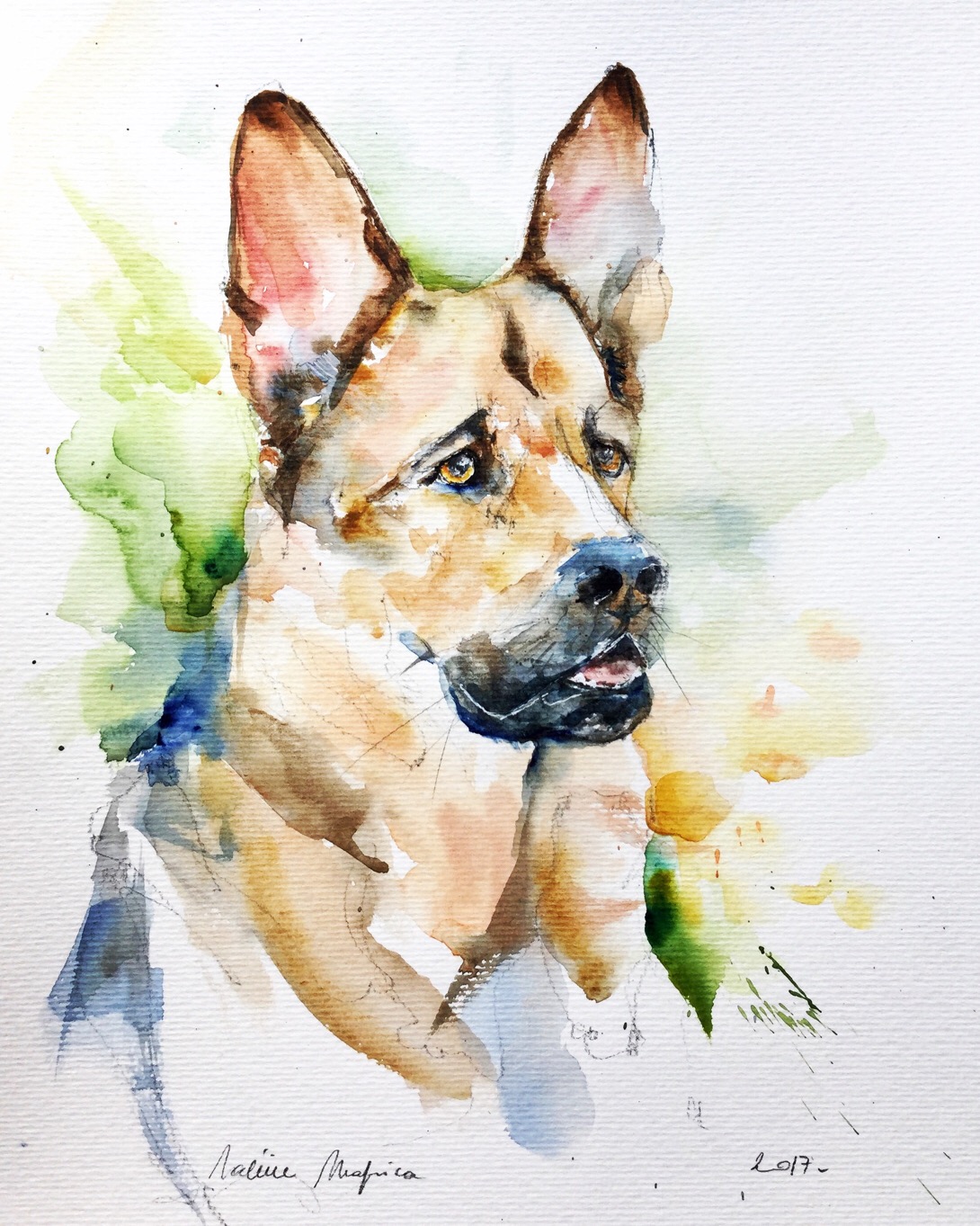 Paint And Draw Together: Valérie M. - "Berger Allemand"