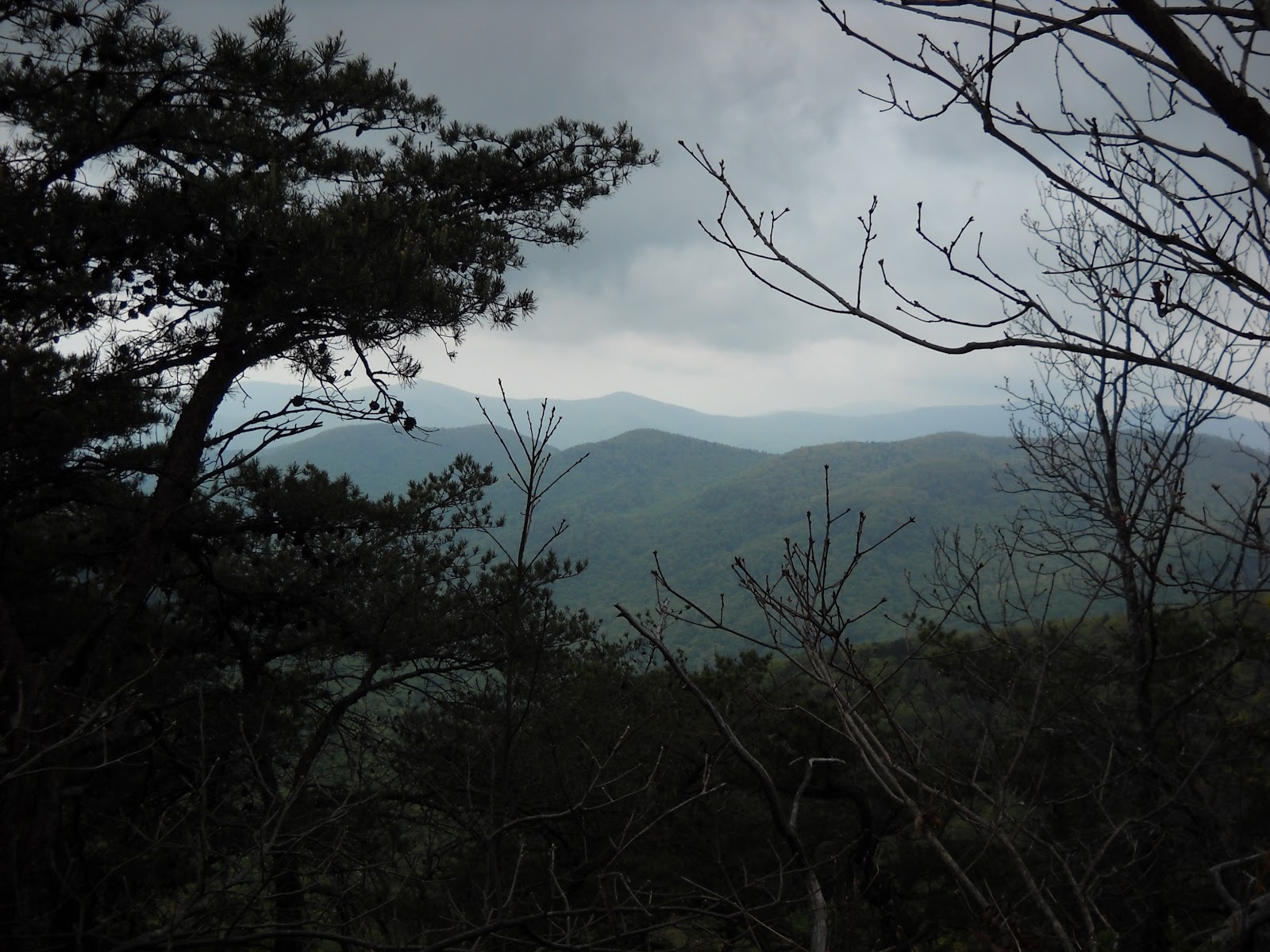 Travel in Retirement: Appalachian Trail - Hogpen Gap to Neels Gap