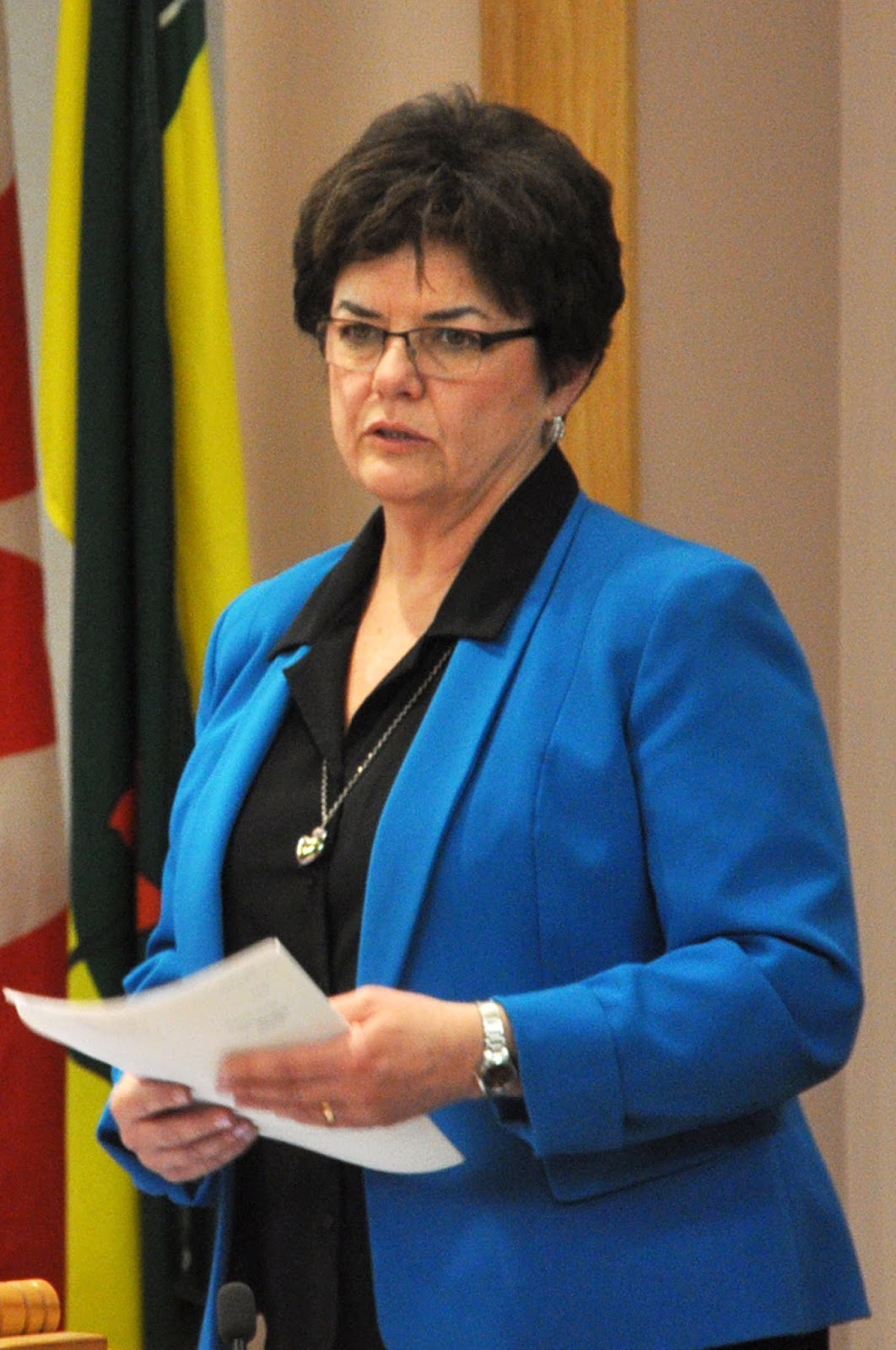 Lisa's Corner: Moose Jaw Times-Herald: Mayor encouraged by federal budget