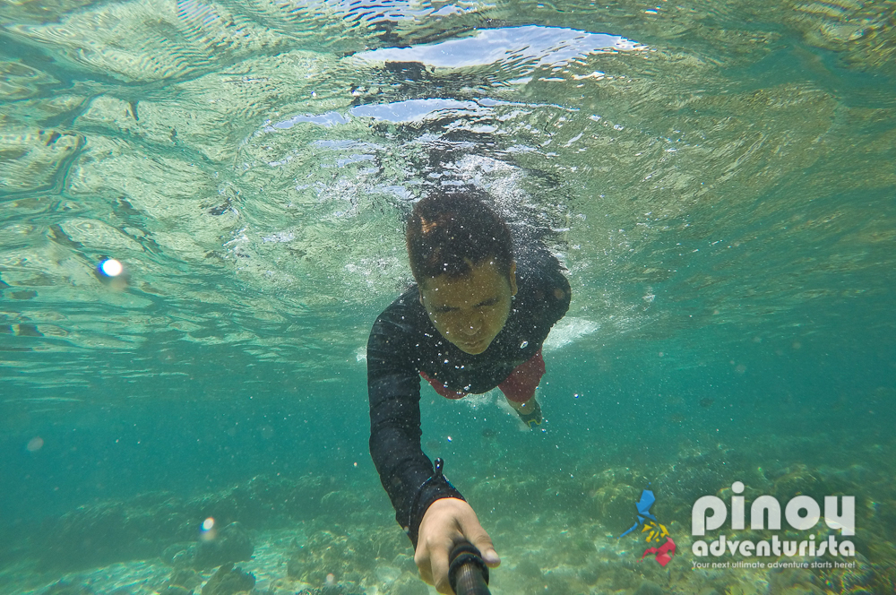 I fell in love with Halea Nature Park in Monreal, Ticao Island, Masbate ...