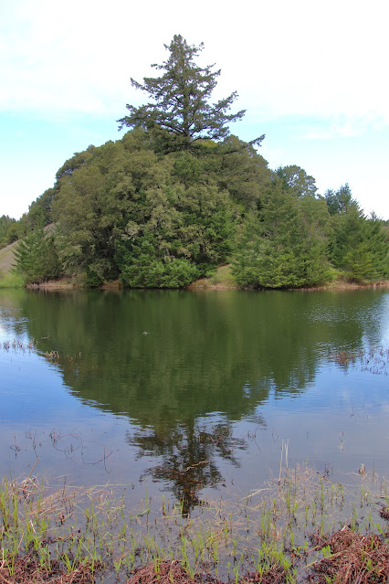 Skyline Ridge Preserve