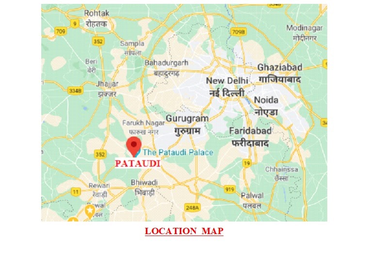 Pataudi princely state court fee / revenue stamp