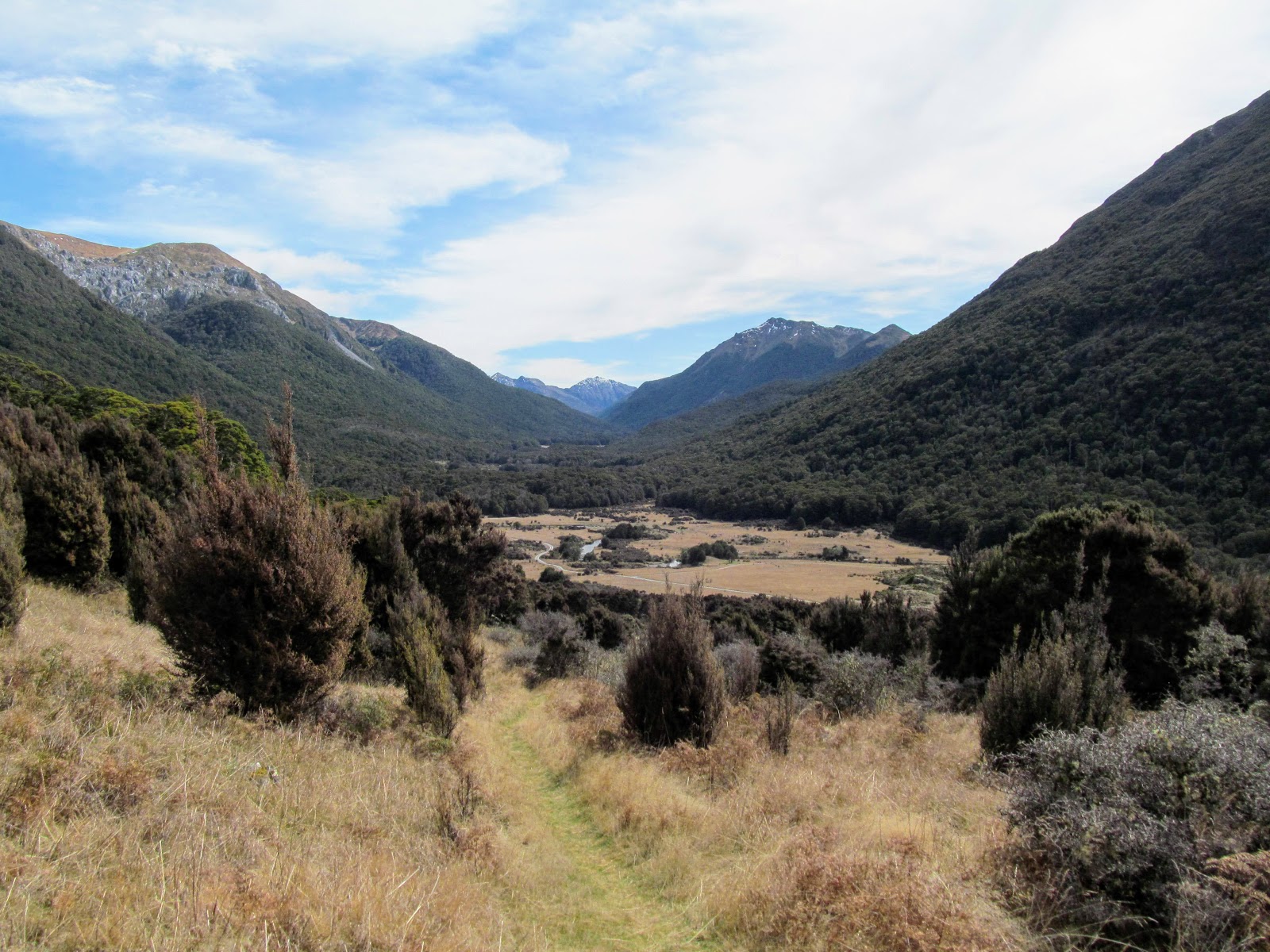 Tramping in the New Zealand backcountry: NZ Bush Adventures: A trip to ...