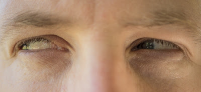 Indigo Blue Eye - Um Blogue sobre Metafísica e Espiritualidade: Como ...