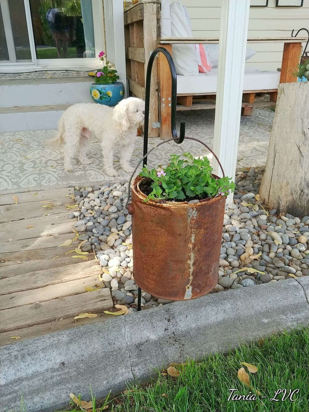 Rusty Paint Can Planters - A Pinspiration Challenge! - Little Vintage ...