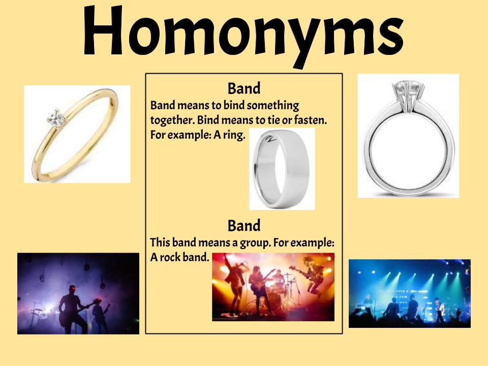Taua @ Panmure Bridge School: Homonmys and Homographs