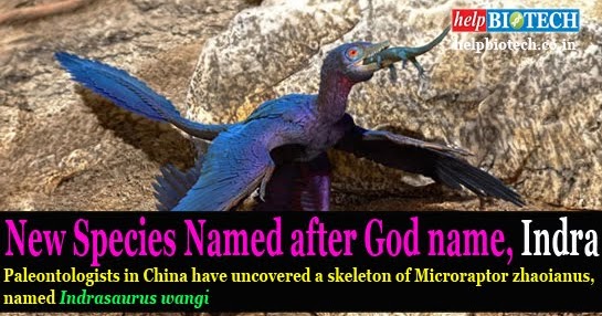 New Species Named after God name, Indra