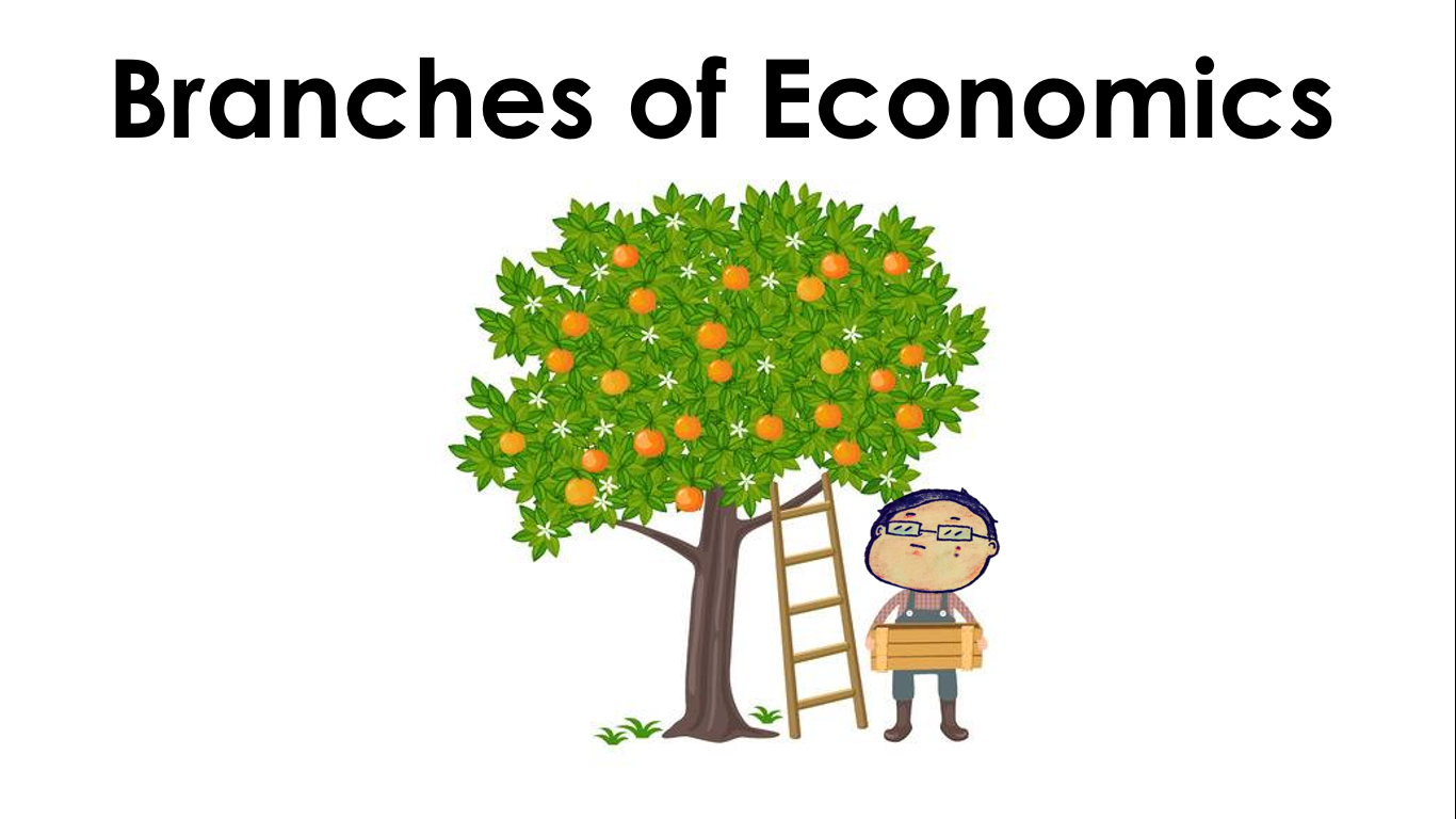 Economics - Branches of Economics