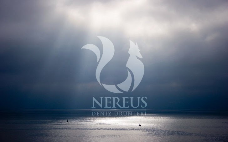 Nereus Seafood (Student Project) – Packaging Of The World