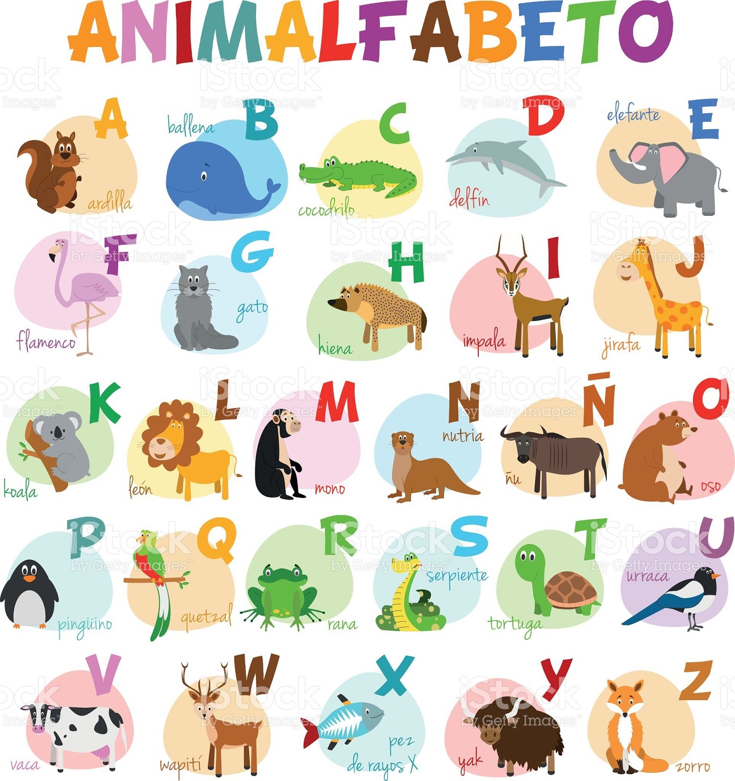 animales del abecedario: ABC de animales