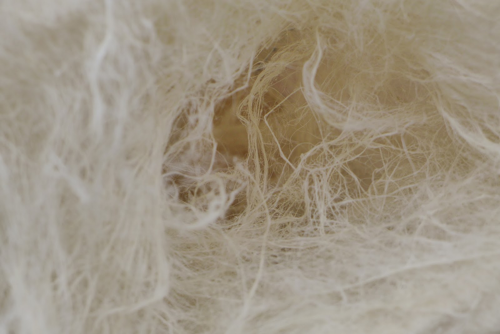 Textura suave de color claro para descargar gratis | Todas las texturas