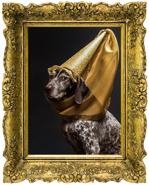 The Latest News from Shomberg GSPs