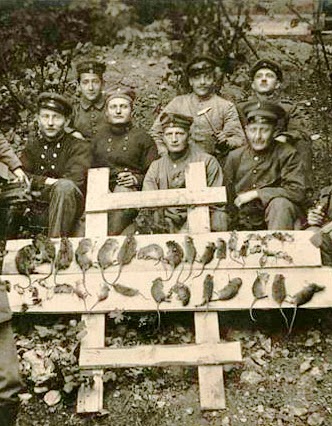 Roads to the Great War: A Roads Classic: Rat Catching — The Sport of ...